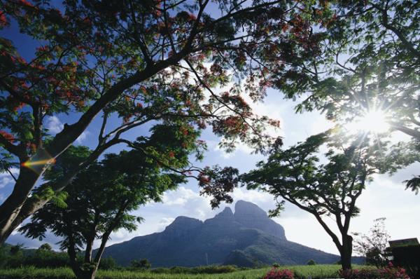 Mauritius Landscape