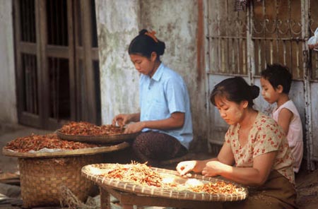 Myanmar - People and Places