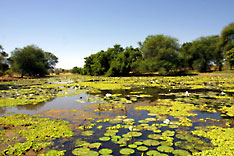 Chad - Tchad - Country Profile - Nations Online Project