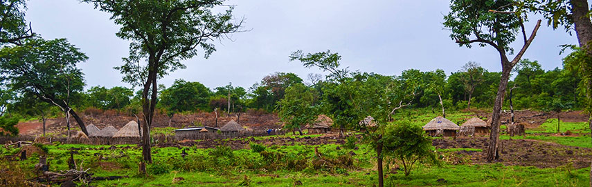 Google Map of Guinea - Nations Online Project