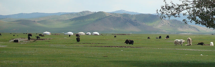 Google Map of Mongolia - Nations Online Project