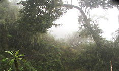 Rwanda - Country Profile - Nations Online Project