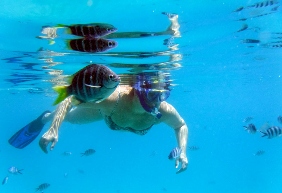 Seychelles - A Country Profile - Nations Online Project