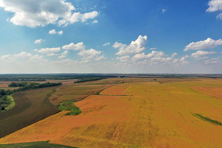 Map of the State of Illinois, USA - Nations Online Project